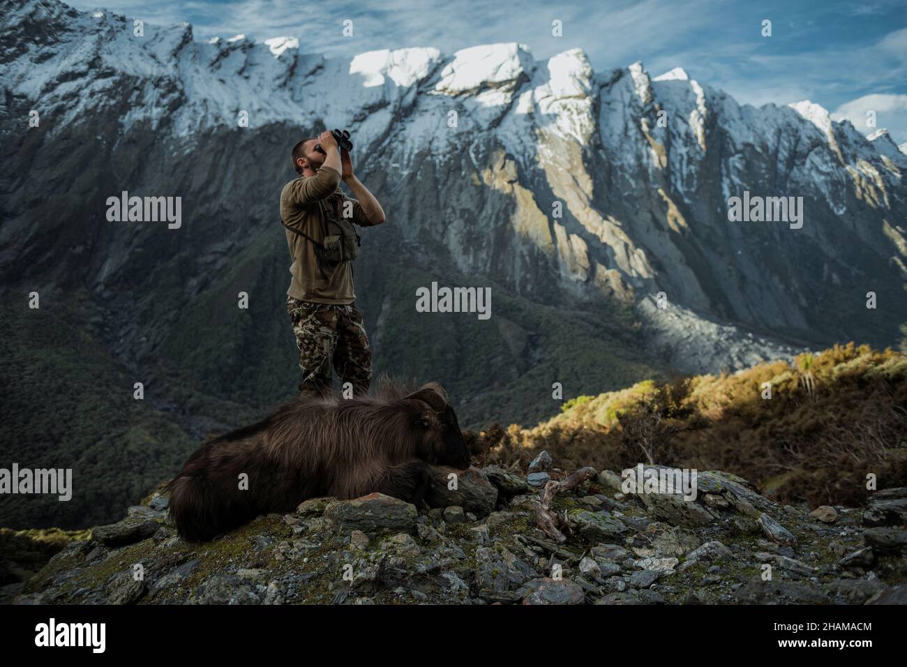 Hunter standing near dead mountain goat Stock Photo - Alamy