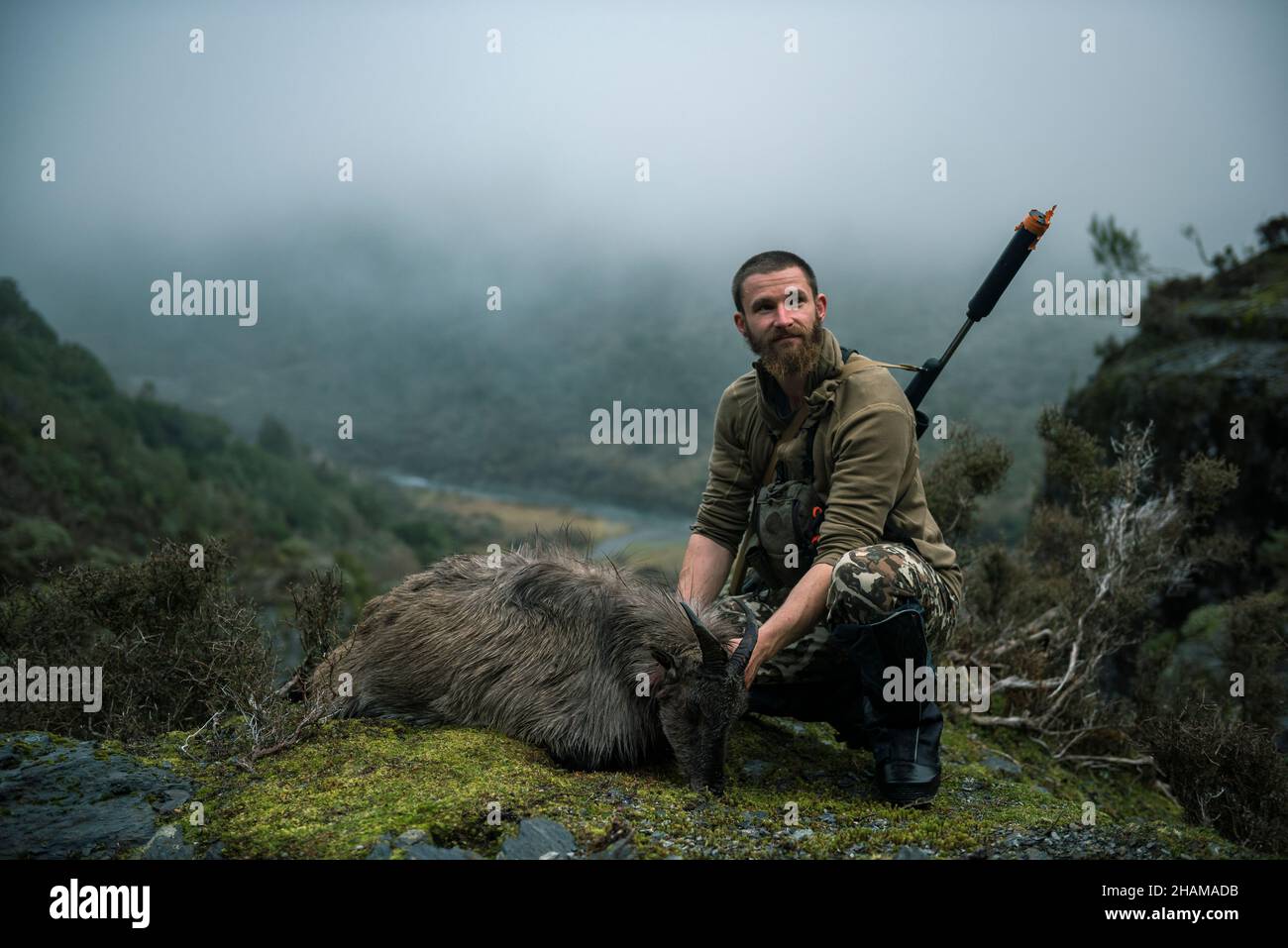 Hunter crouching near dead mountain goat Stock Photo - Alamy