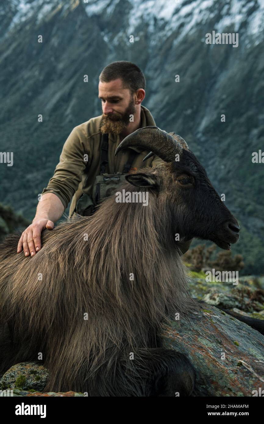 Hunter sitting near dead mountain goat Stock Photo - Alamy