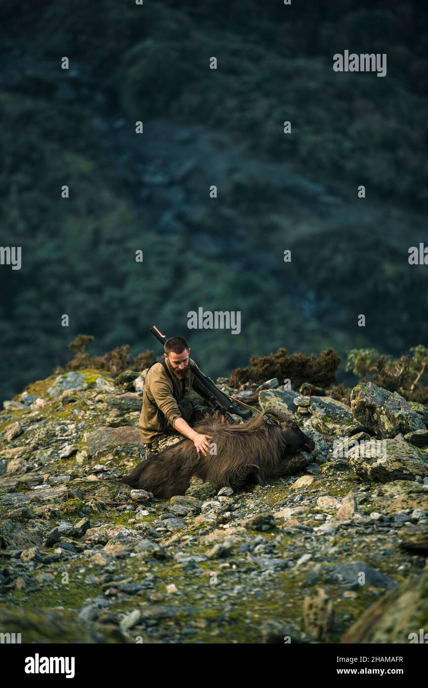 Hunter sitting near dead mountain goat Stock Photo - Alamy