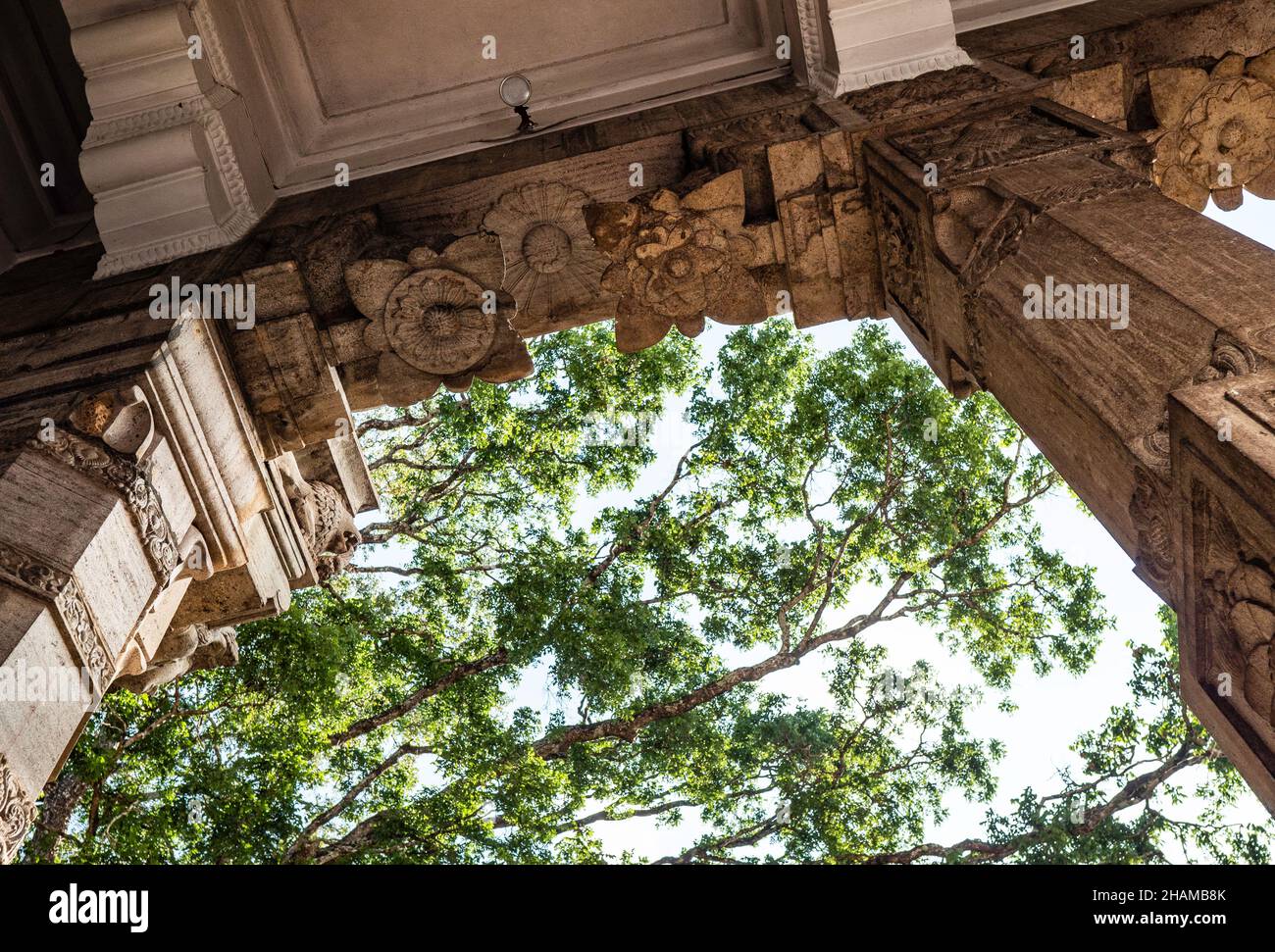 Buddha statues in a temple on Sri Lanka closeup Stock Photo - Alamy