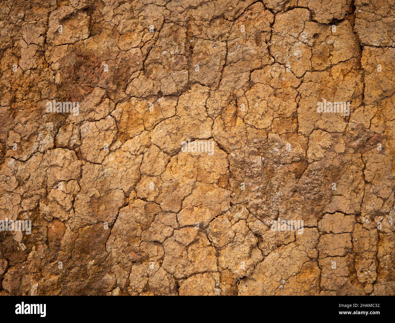 Close up of soil texture background Stock Photo - Alamy