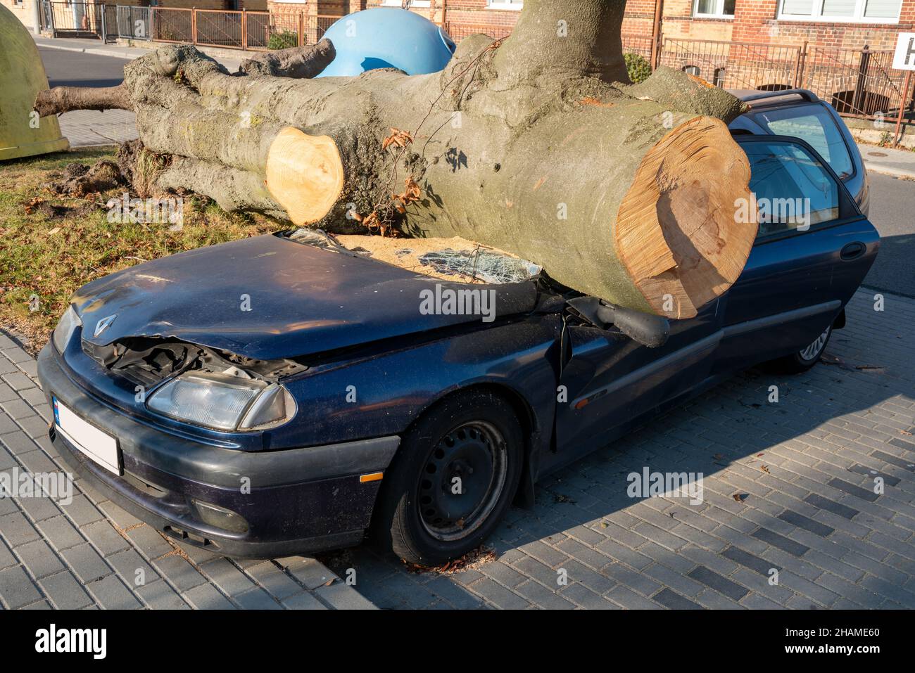 Car crushed by giant tree Stock Photo - Alamy