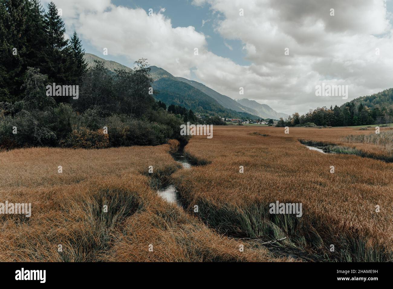 Beautiful fall scenery with creek through grassland at Zelenci nature ...