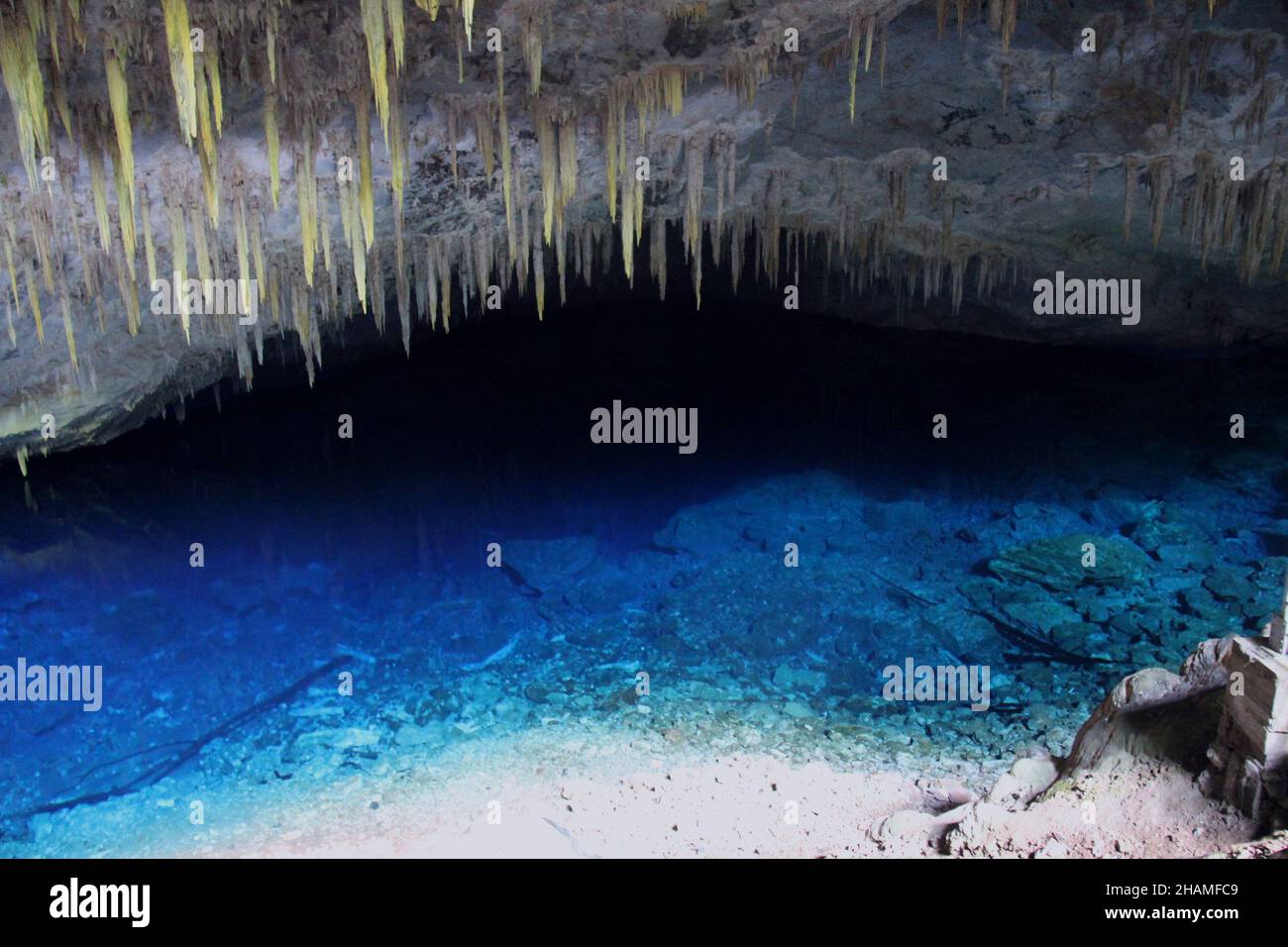Blue lake grotto in Bonito, Mato Grosso do Sul, Brazil Stock Photo - Alamy