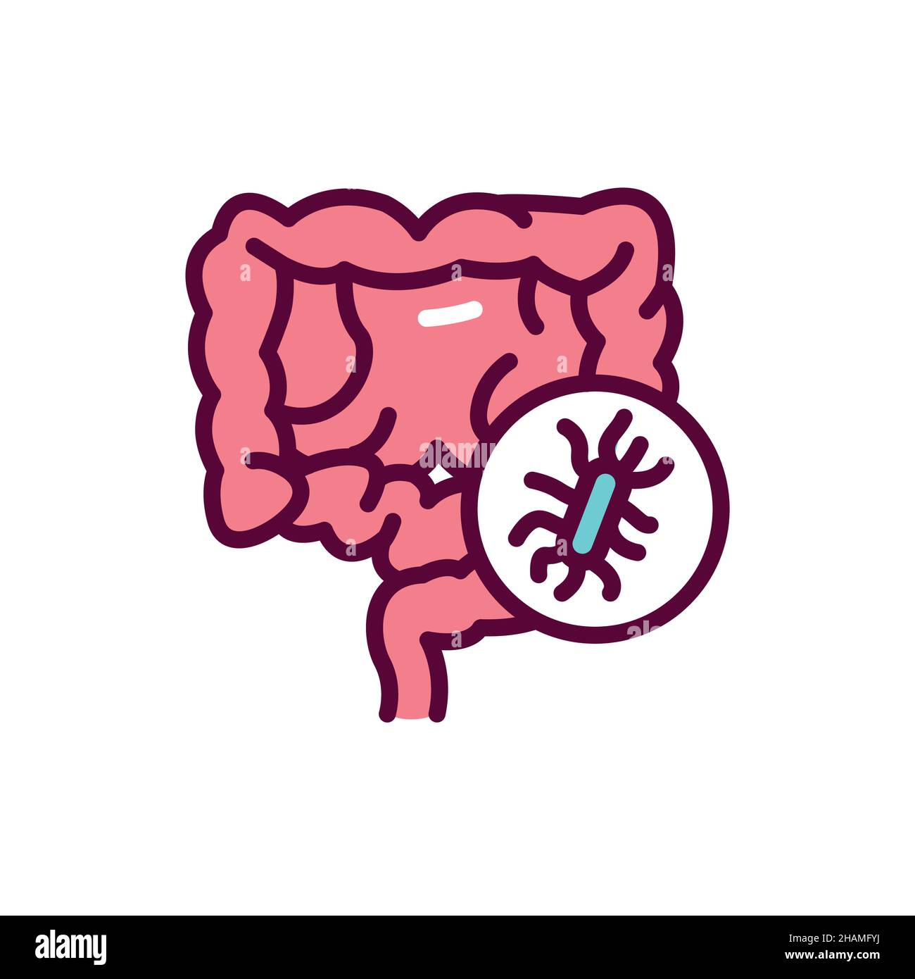 Gut bacteria hi-res stock photography and images - Alamy