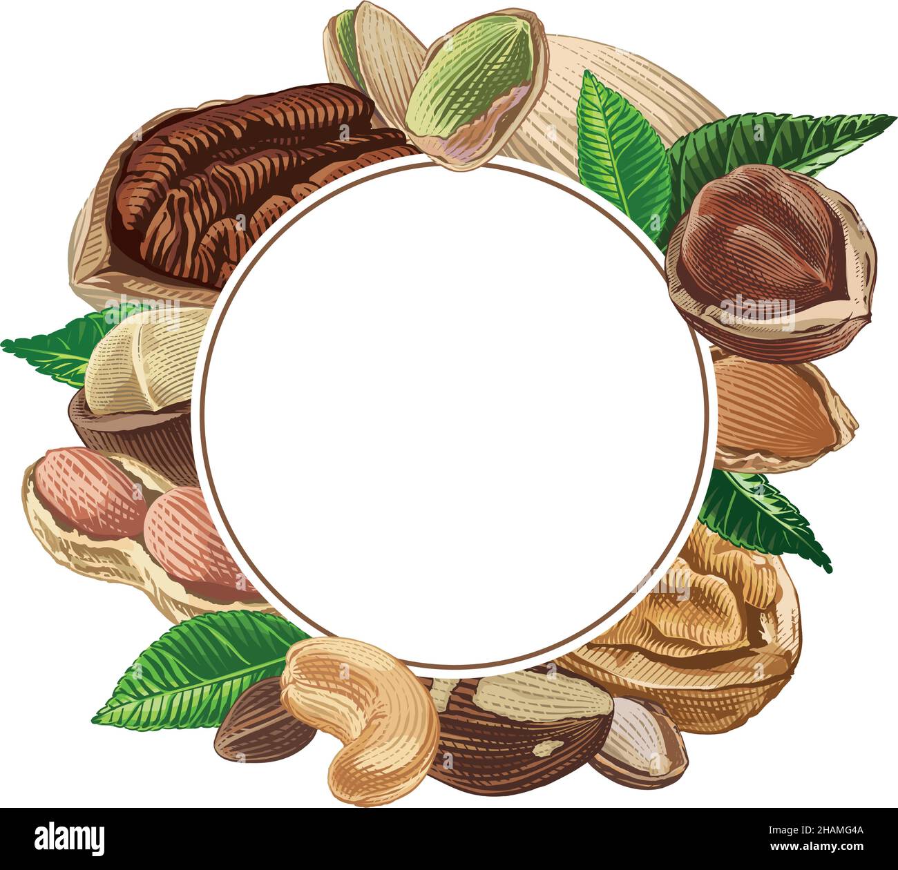 walnut template for the label Hand drawing sketch engraving ...