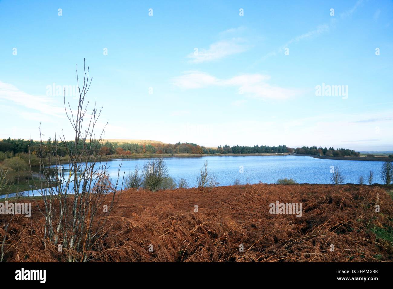 Autumnal view of Redmires Reserves, Hallam Moors, Sheffield, England ...