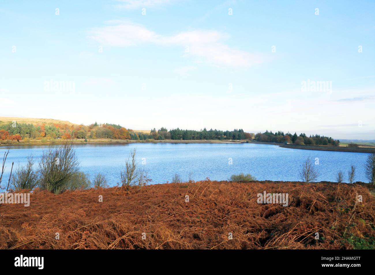 Autumnal view of Redmires Reserves, Hallam Moors, Sheffield, England ...