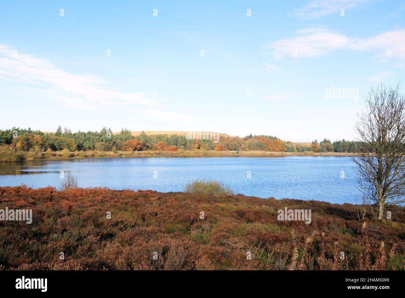 Autumnal view of Redmires Reserves, Hallam Moors, Sheffield, England ...
