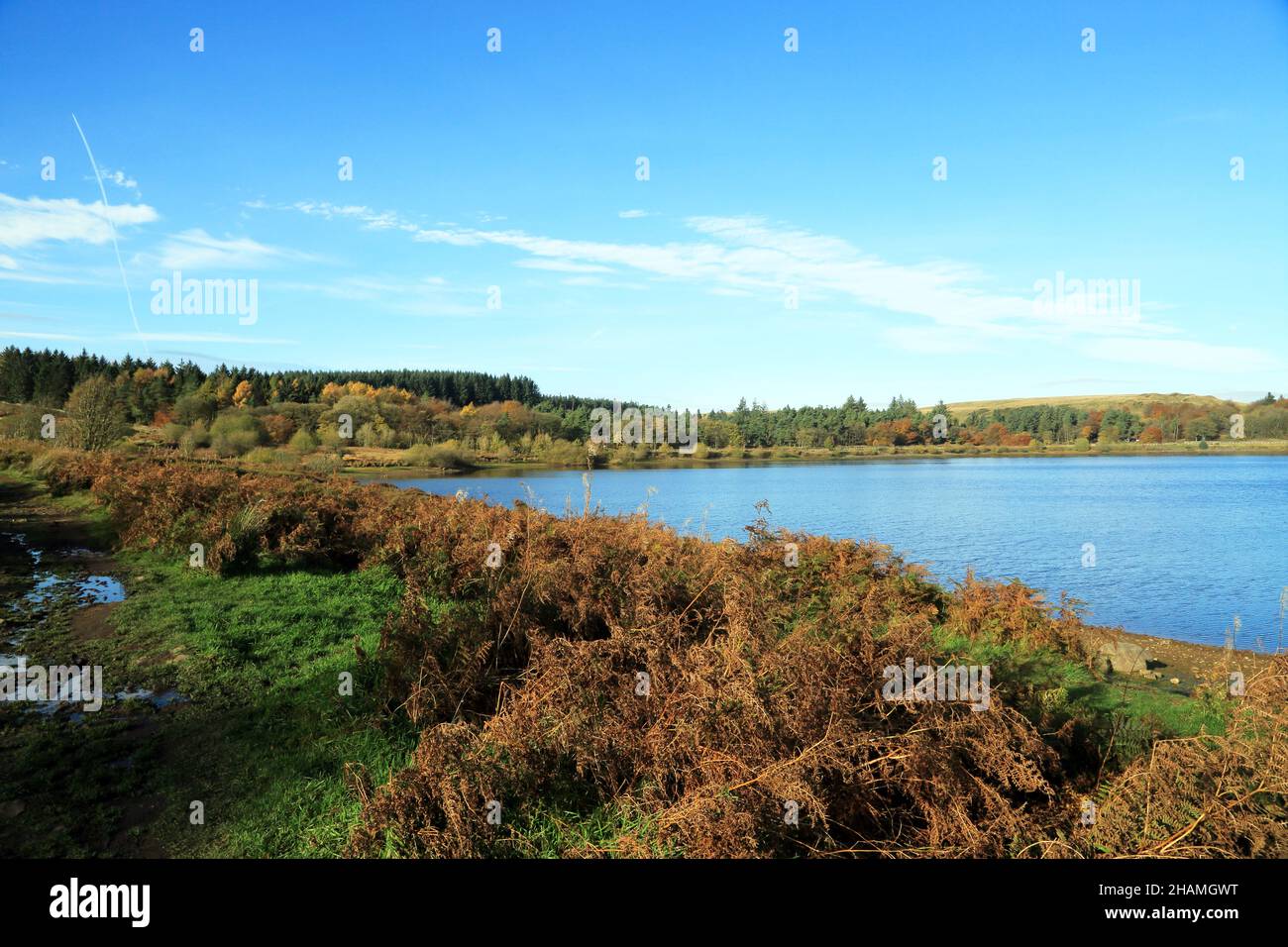 Autumnal view of Redmires Reserves, Hallam Moors, Sheffield, England ...
