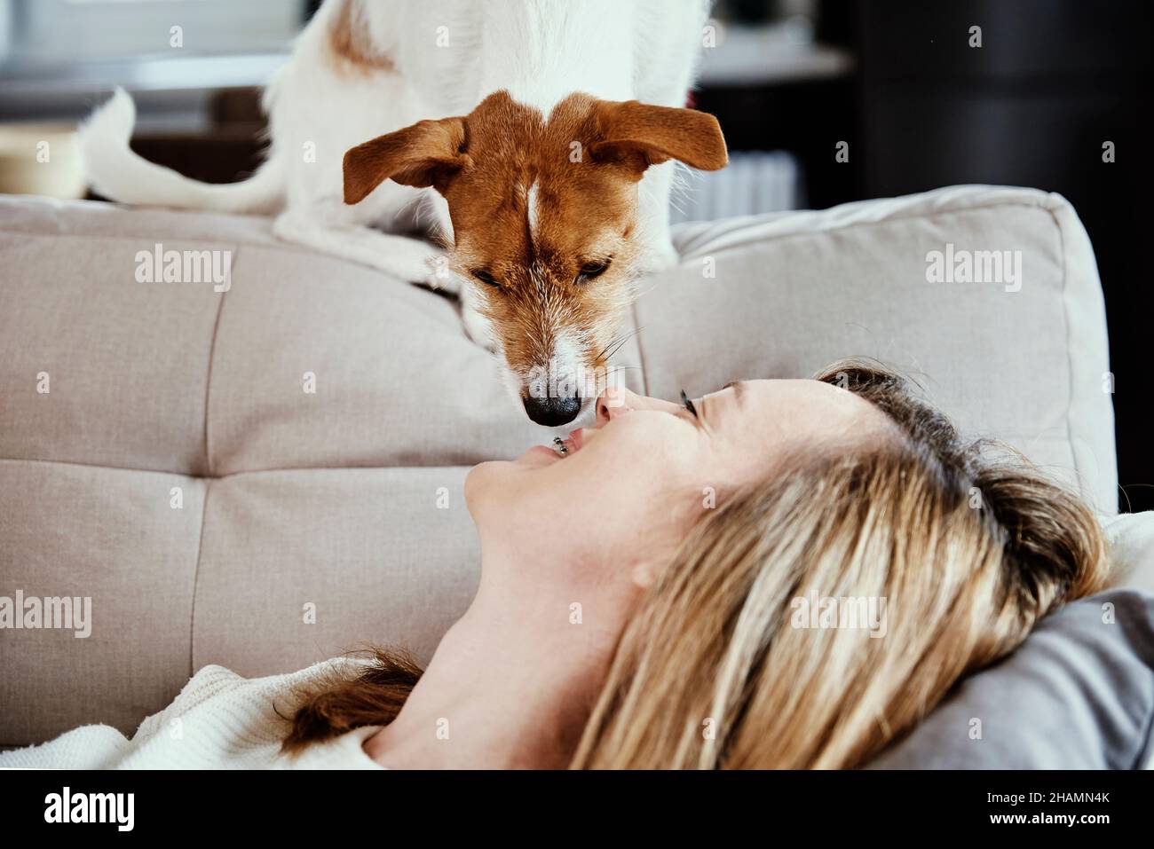 Dog and his owner relaxing on sofa, good relationships and pet care ...