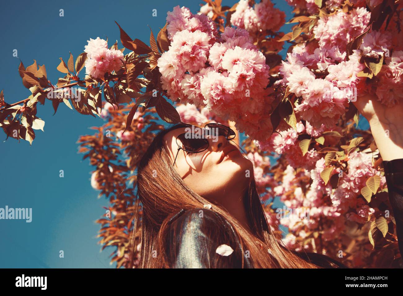 Woman spring flowers hi-res stock photography and images - Alamy