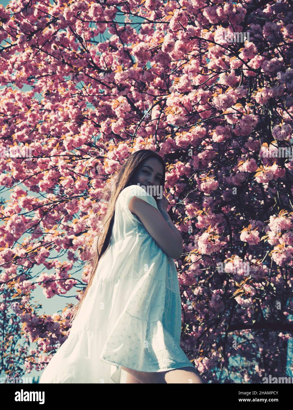 Portrait of young beautiful woman posing among blooming sakura trees ...