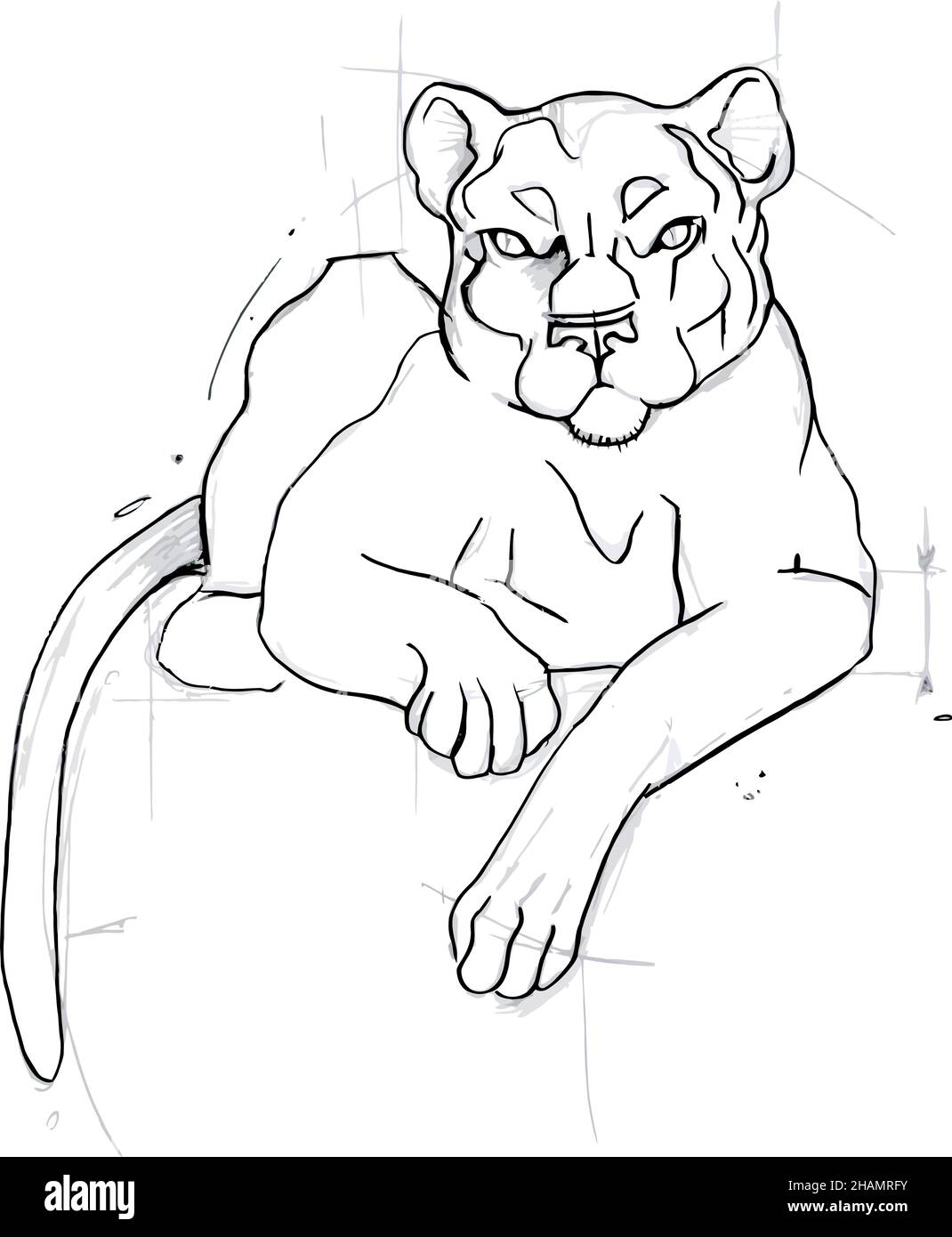 Cat portrait style Cut Out Stock Images & Pictures - Alamy