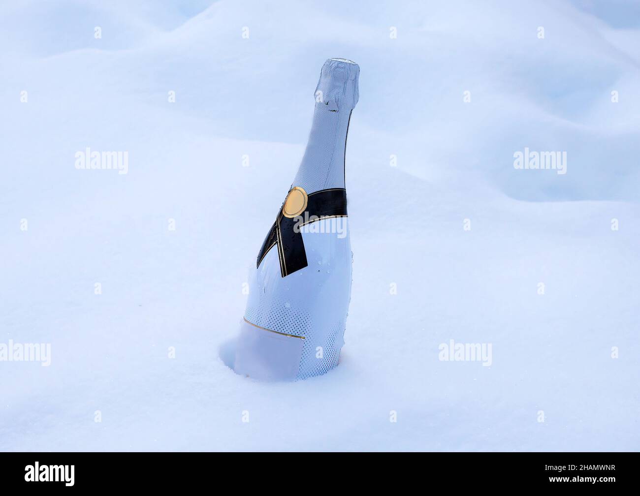 a white champagne bottle buried in the white frosty snow ready for part ...