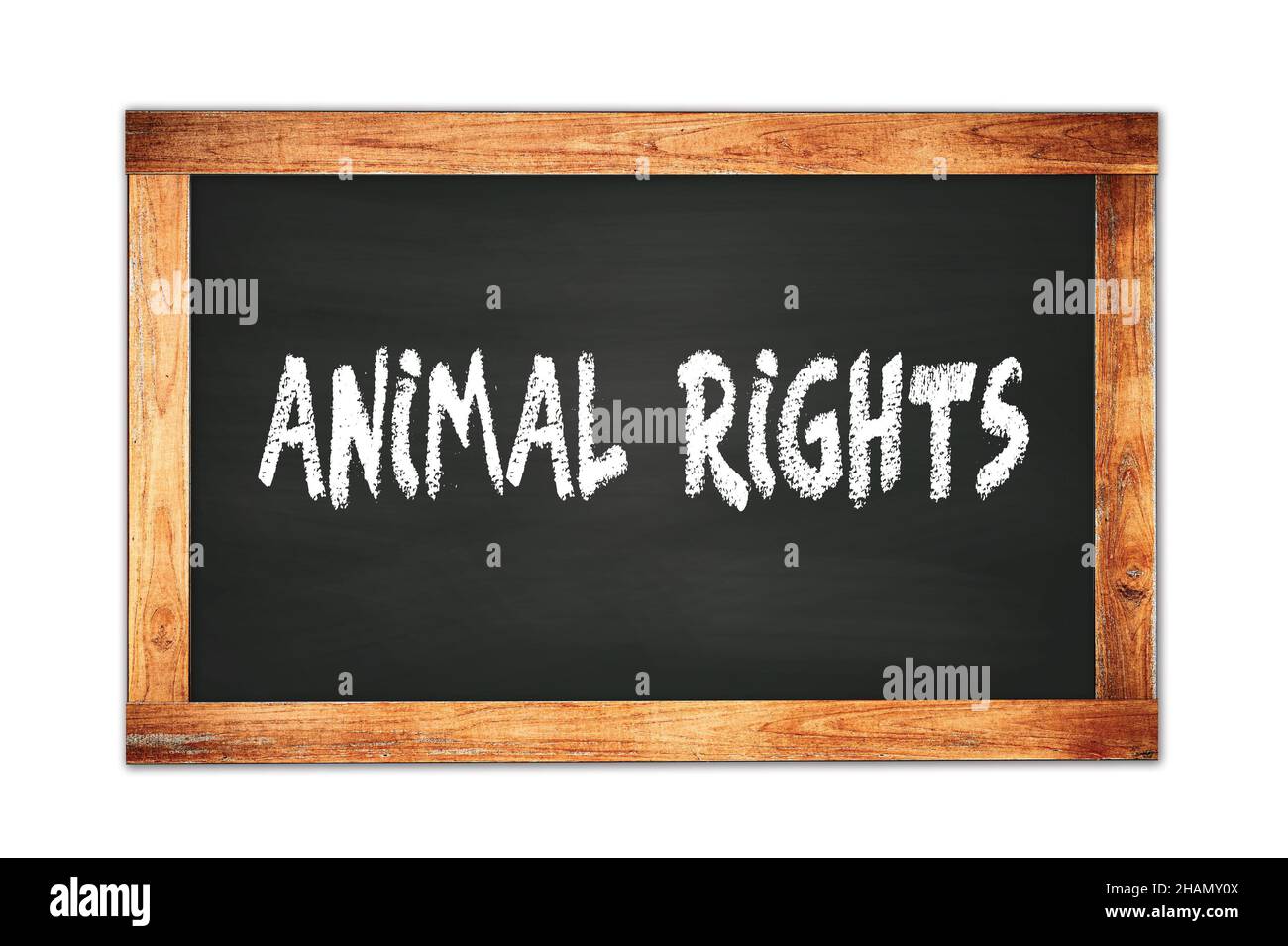 ANIMAL RIGHTS text written on black wooden frame school blackboard ...