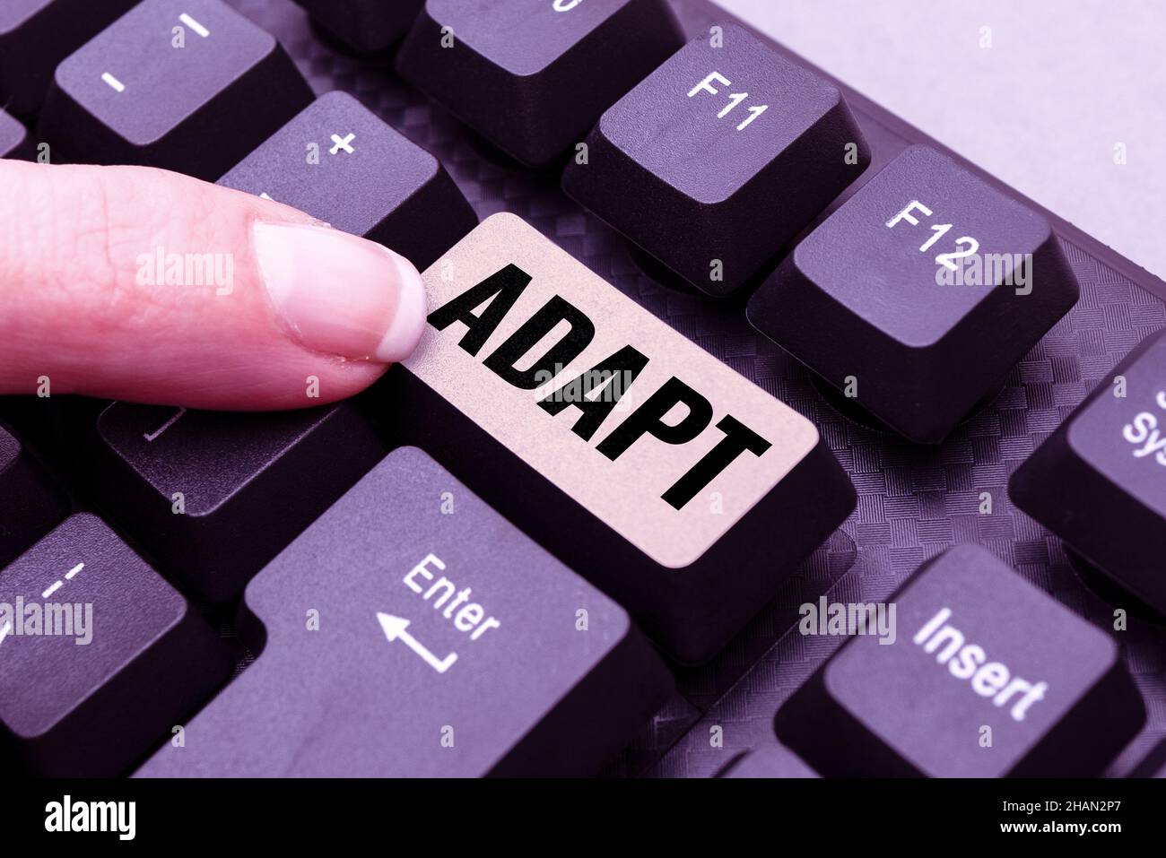 Text showing inspiration Adapt. Business concept Make suitable for a ...