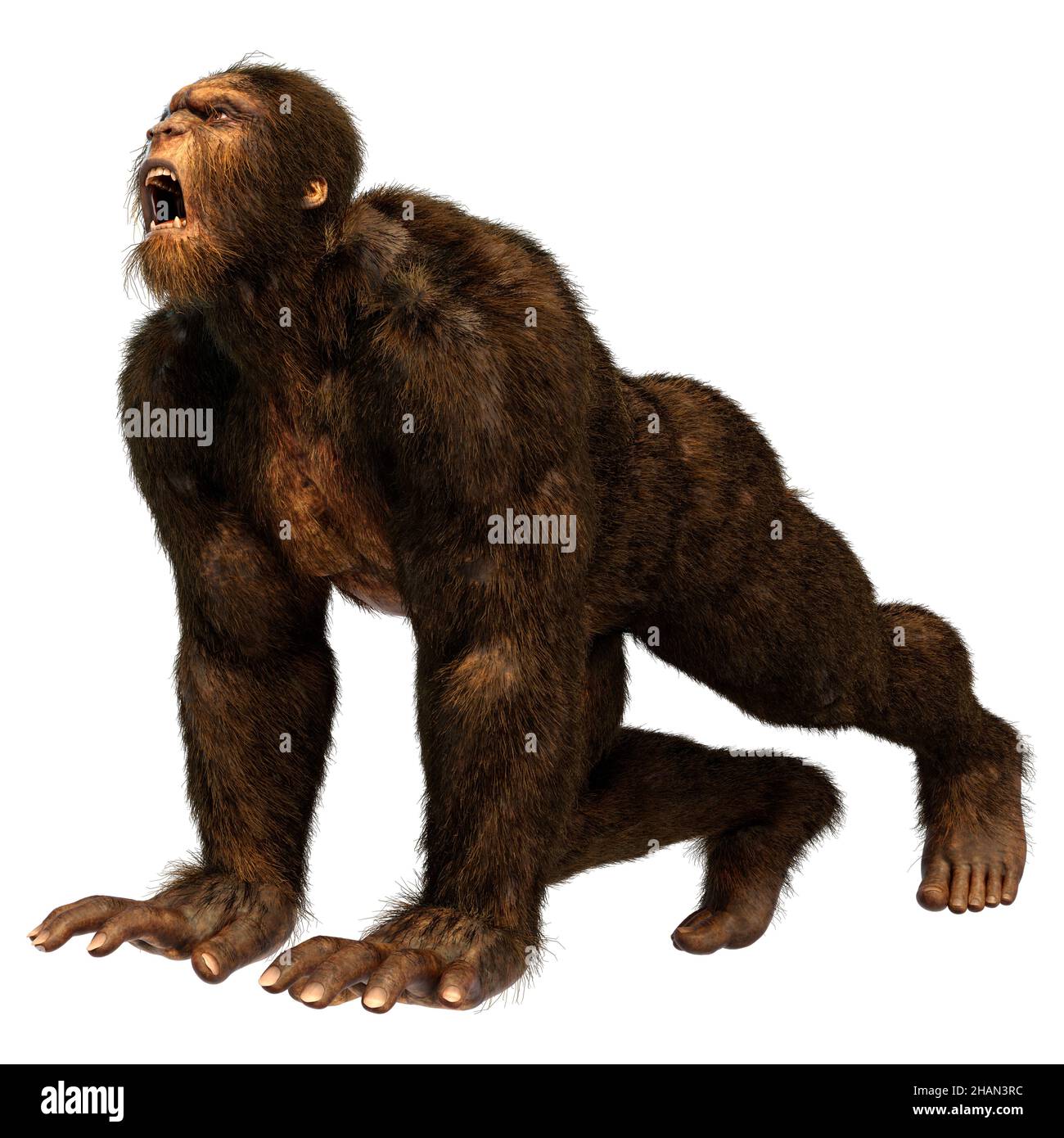 3D rendering of a Sasquatch or Bigfoot isolated on white background ...