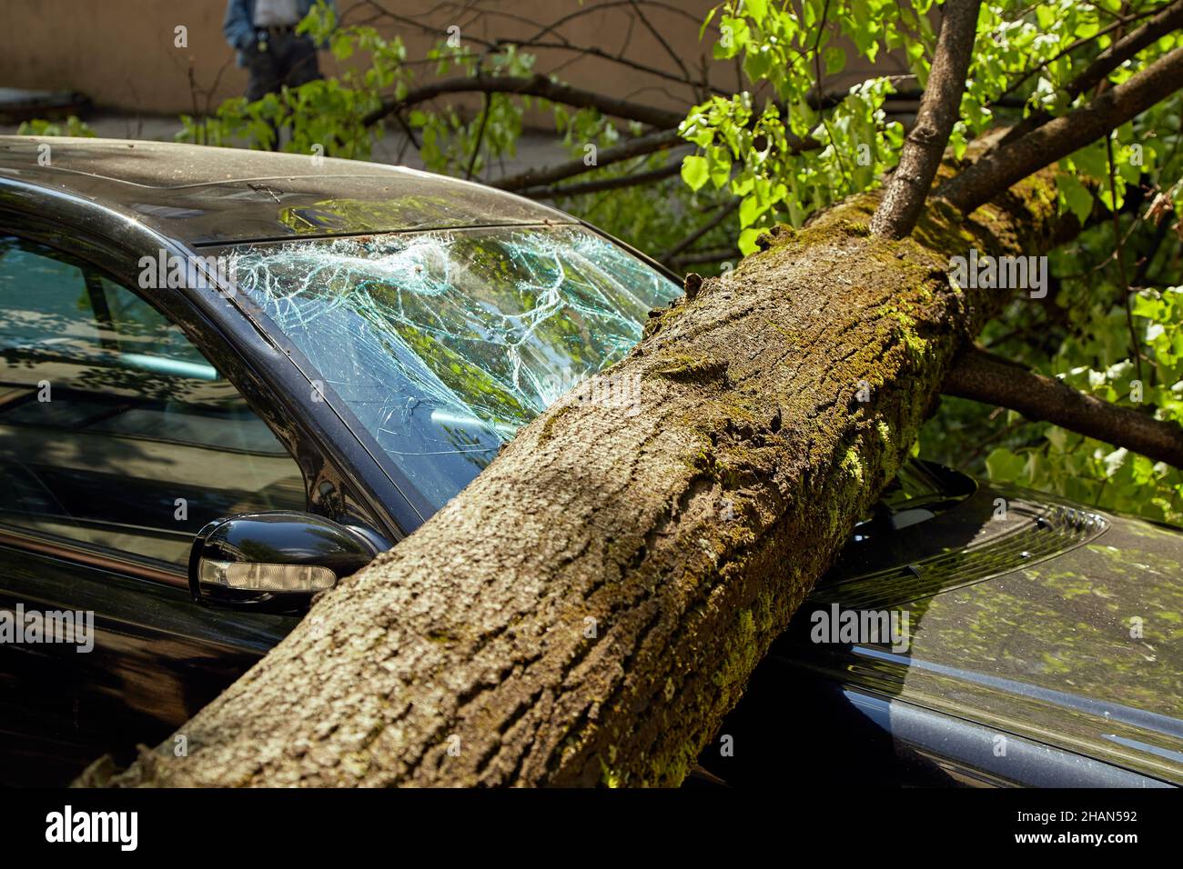 Tornado wind house hi-res stock photography and images - Alamy