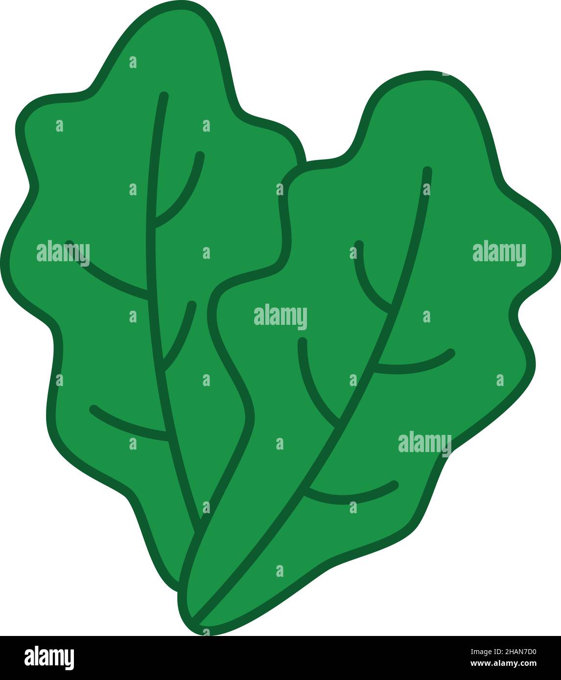 Lettuce Filled Outline Icon Vegetable Vector Stock Vector Image & Art ...