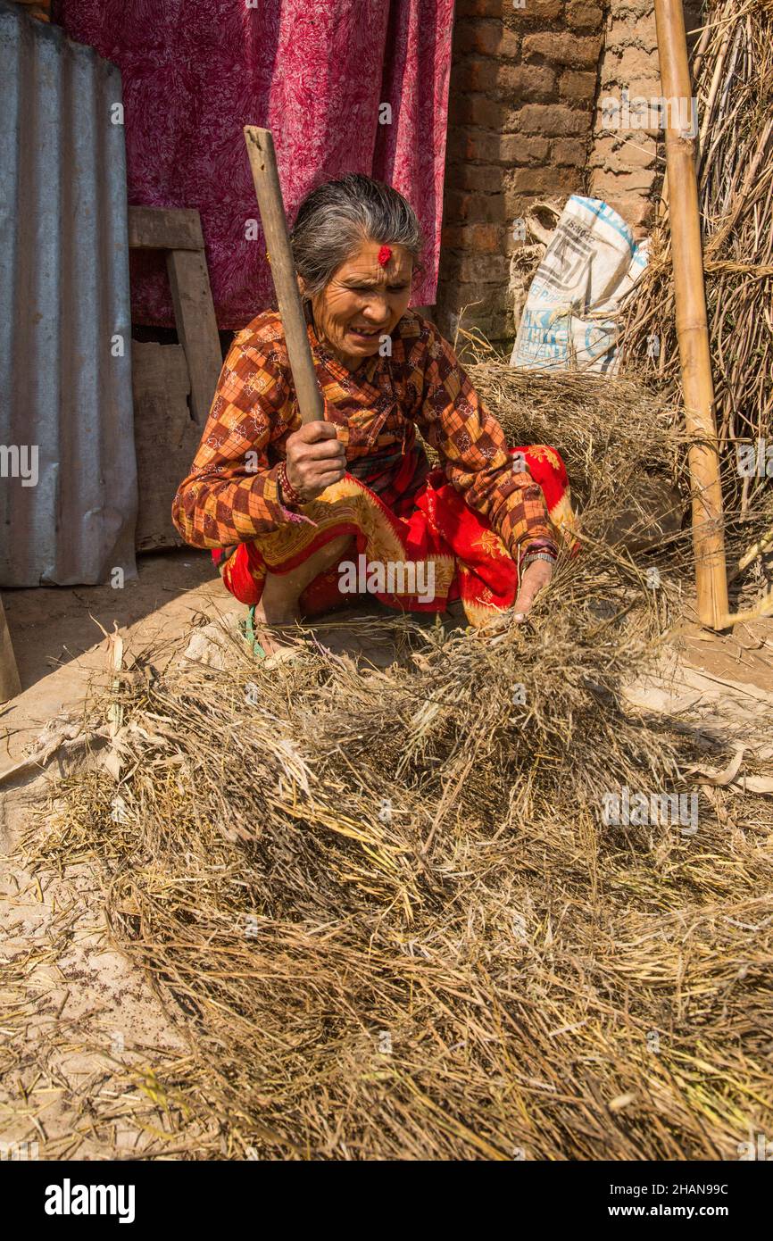 Bindi hindu old woman hi-res stock photography and images - Alamy