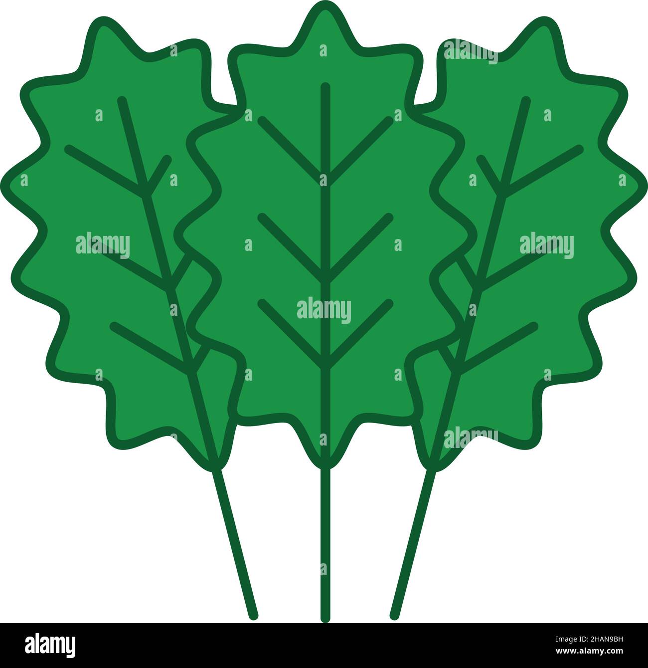 Kale Filled Outline Icon Vegetable Vector Stock Vector Image & Art - Alamy
