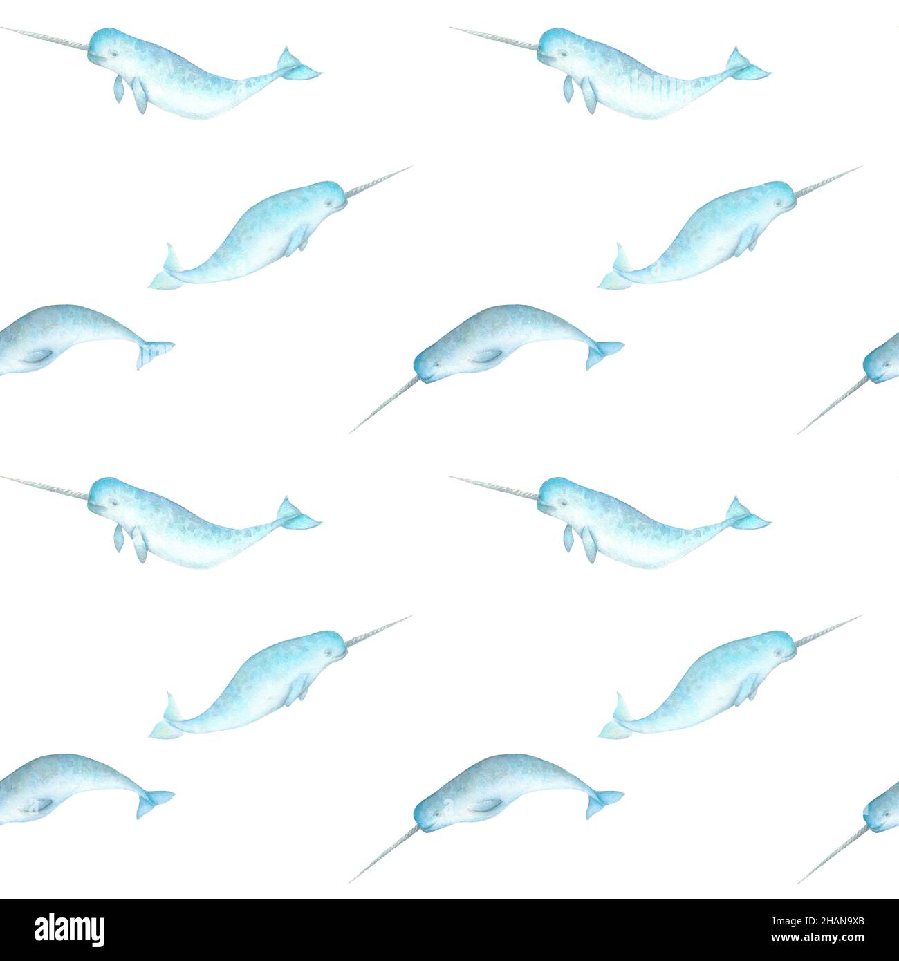 Narwhale tail hi-res stock photography and images - Alamy