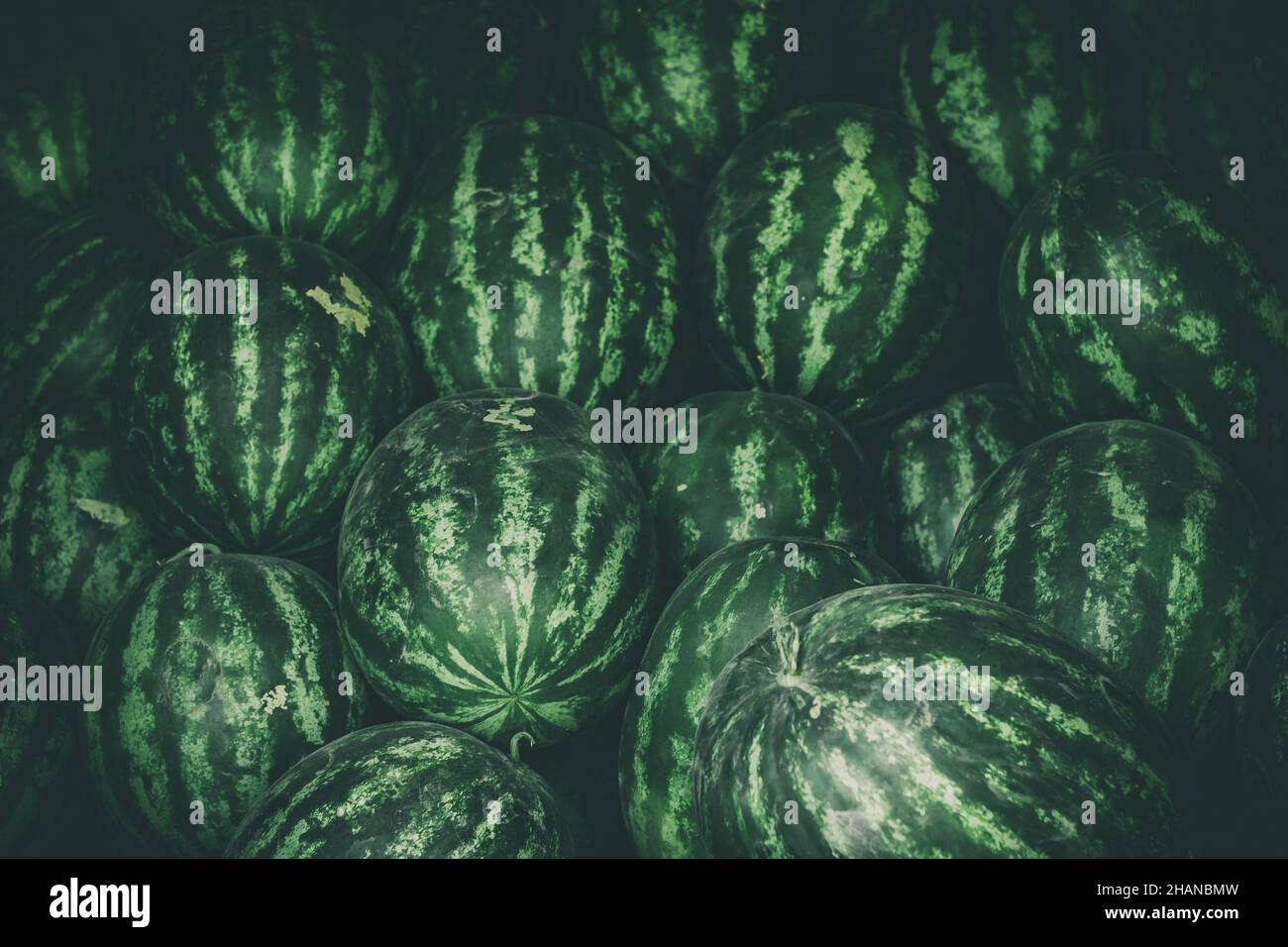 Top view of green ripe watermelons after the harvest Stock Photo - Alamy