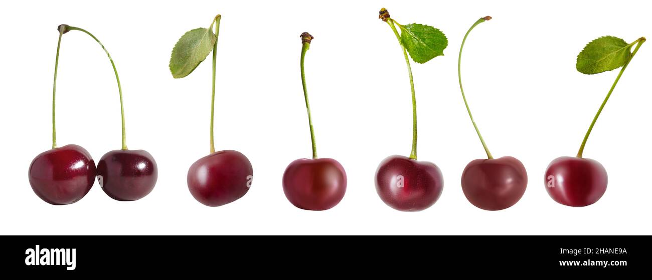 cherry collection isolated on white background Stock Photo - Alamy