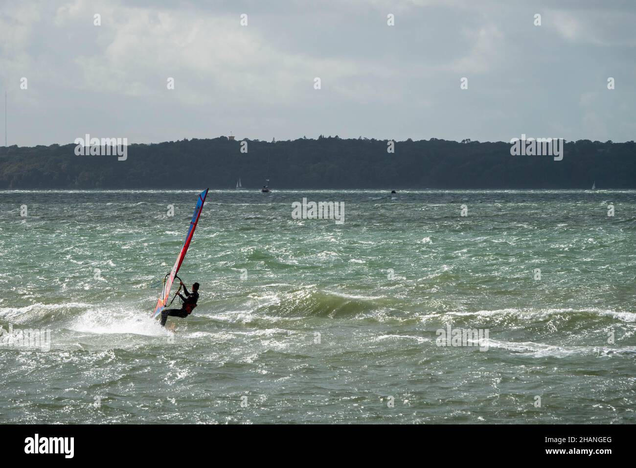 Windsurfer on The Solent with the Isle of Wight in the background Stock ...