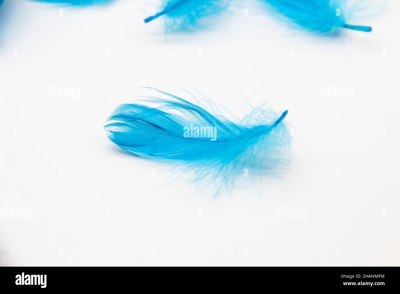 Blue fluffy bird feathers on a white background. A texture of a soft ...