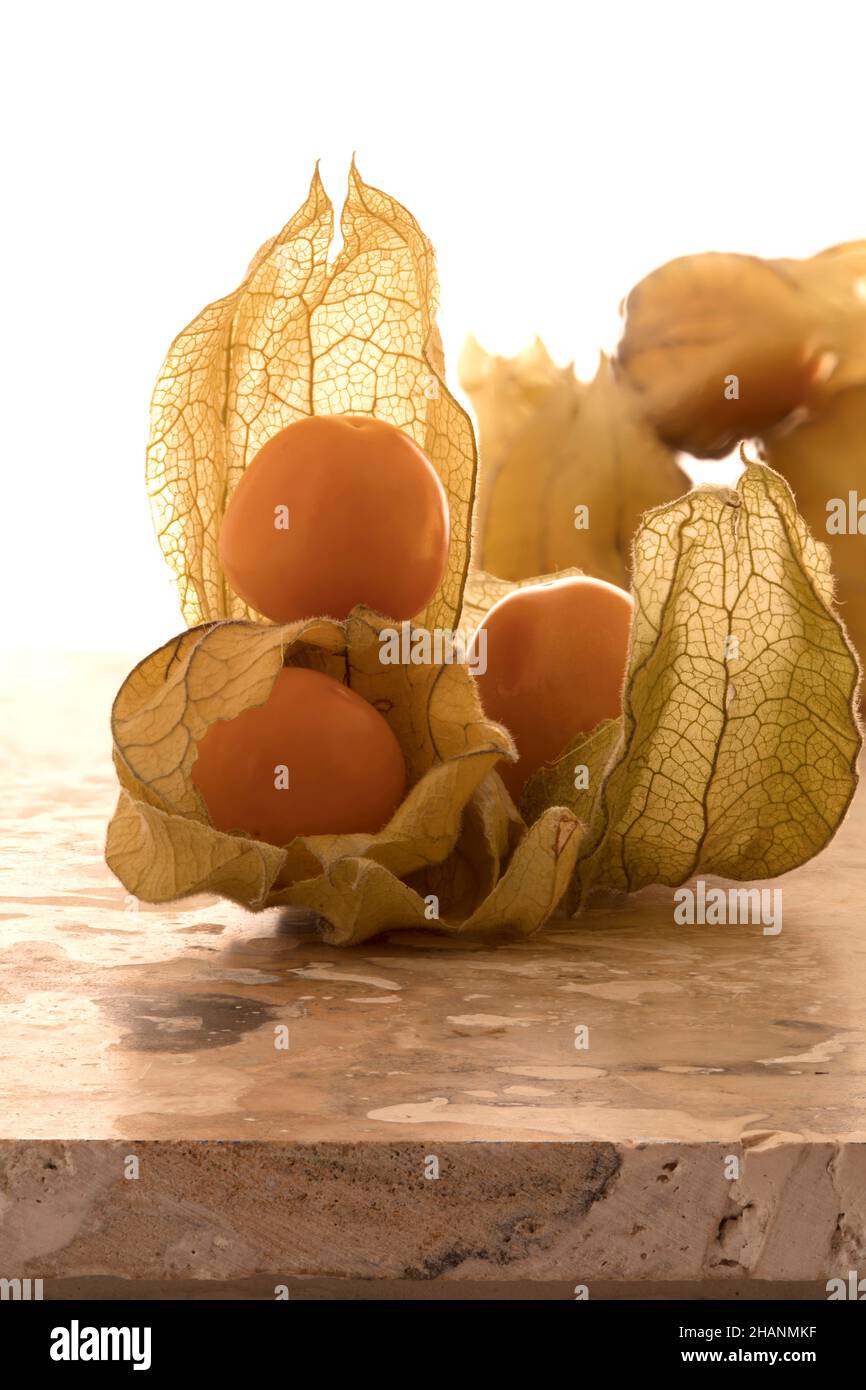 Cape Gooseberry, Physalis peruviana, close-up fruit portrait against ...