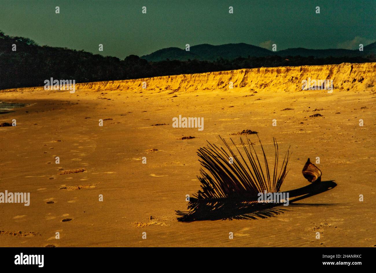 Beauty of rural Goa. High resolution intimate recollection of idyllic ...