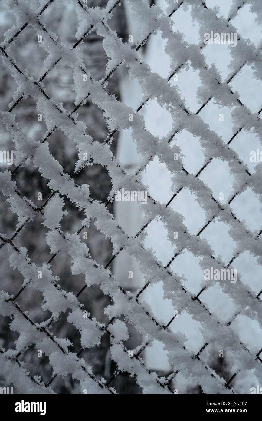 Snowy frozen metal fence close-up.Winter snowy weather.Old rural fence ...