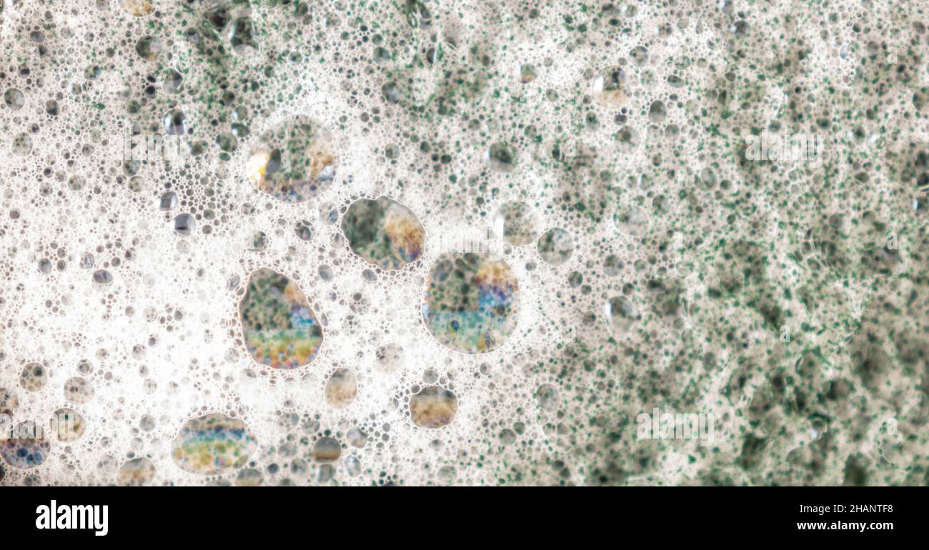 Macro of Scouring Sponge, scouring pad, still life Stock Photo - Alamy