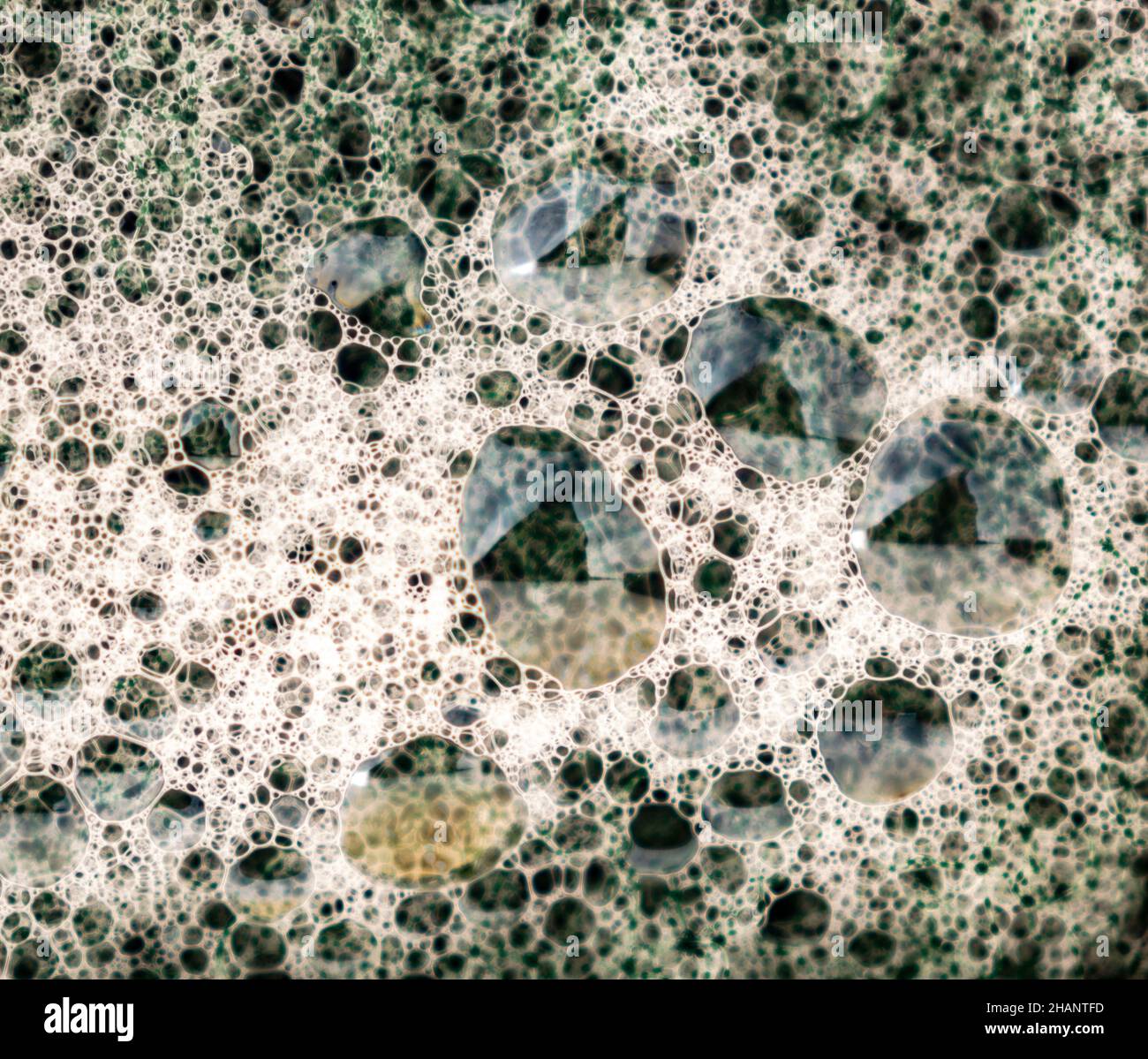 Macro of Scouring Sponge, scouring pad, still life Stock Photo - Alamy