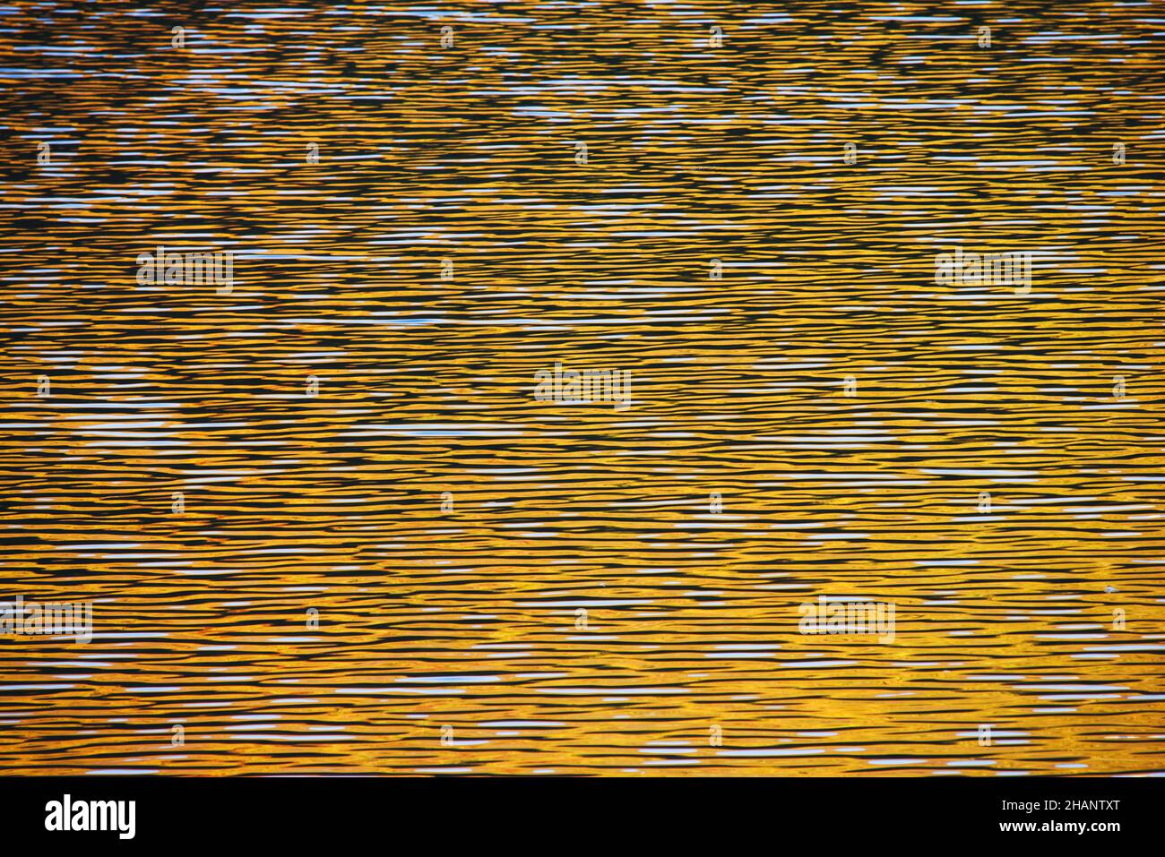 Beautiful scene of Restless and golden water surface at sunset Stock ...