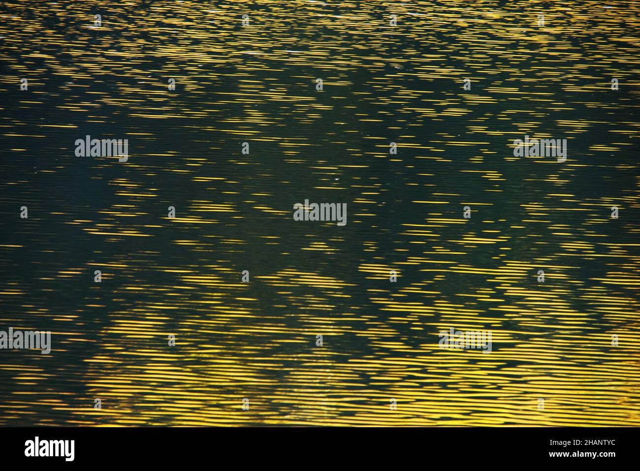 Beautiful scene of Restless and golden water surface at sunset Stock ...