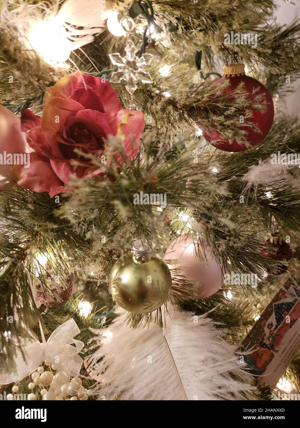 Ornaments on a tree hi-res stock photography and images - Alamy