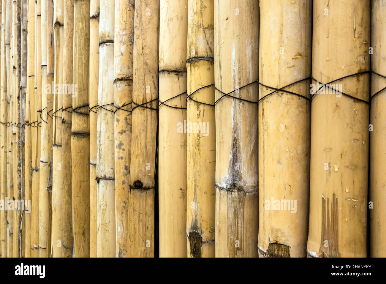 Old brown tone bamboo simple wall or Bamboo fence texture background ...