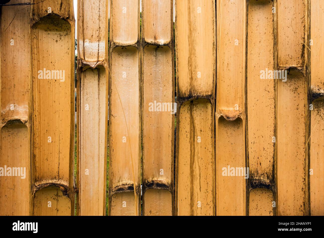 Old brown tone bamboo simple wall or Bamboo fence texture background ...