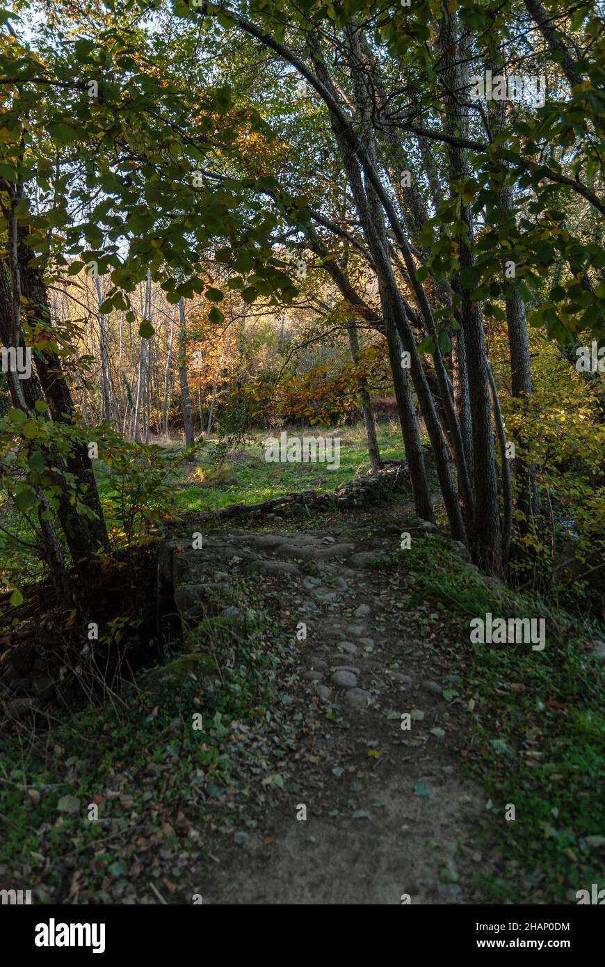 Old stone bridge over water hi-res stock photography and images - Alamy