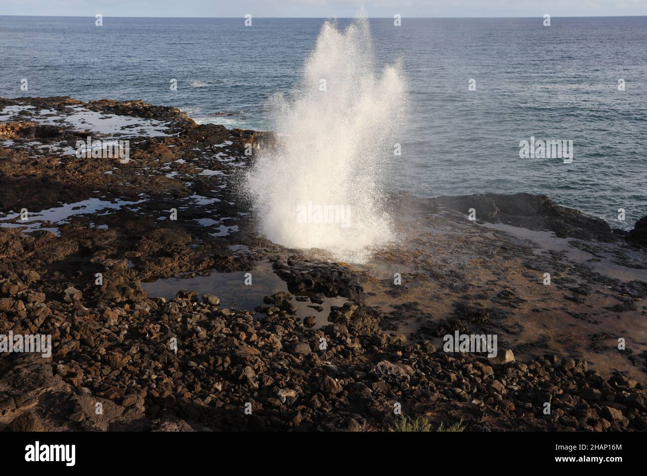 A plume of water coming up through a blowhole on a volcanic shelf at ...