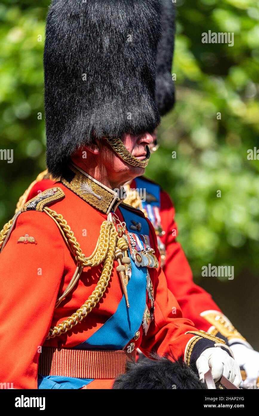 Prince Charles in military uniform in role as Royal Colonel, Prince ...