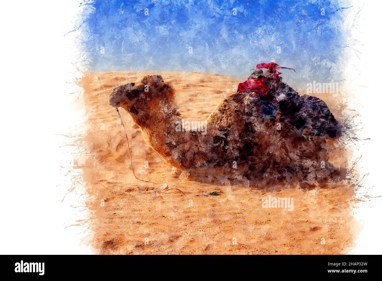 Watercolor drawing. Dromedary Camel sits on the sand in the Sahara ...