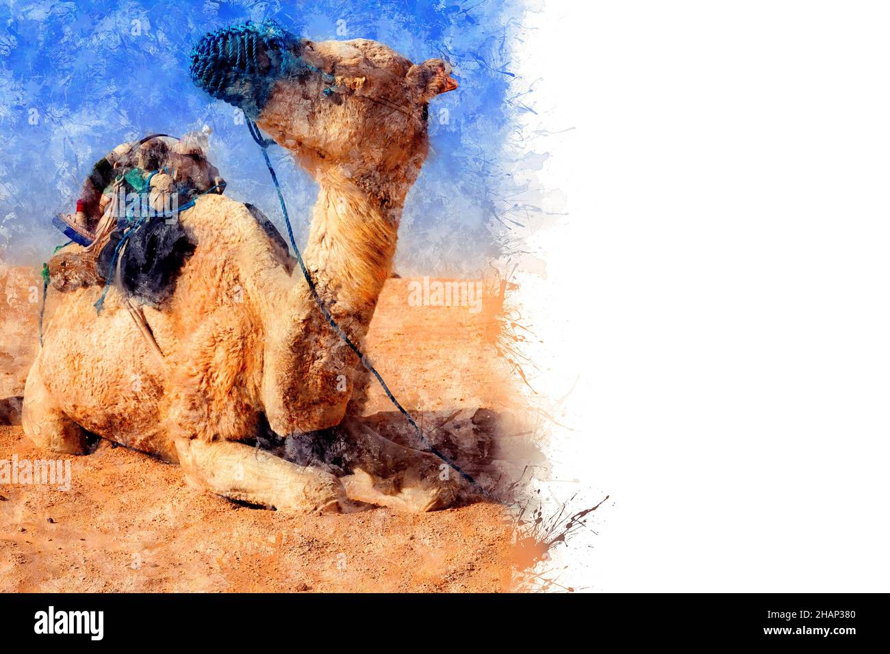 Sahara Desert Drawings