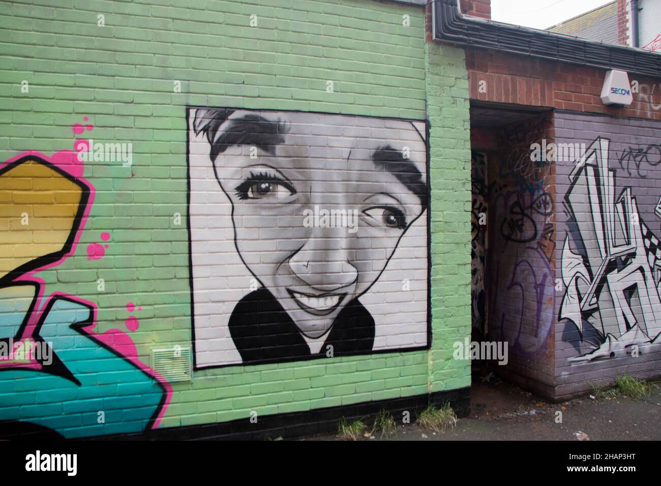 Francis Bourgeois Street art in Brighton Train Spotter and Tik Tok Star ...