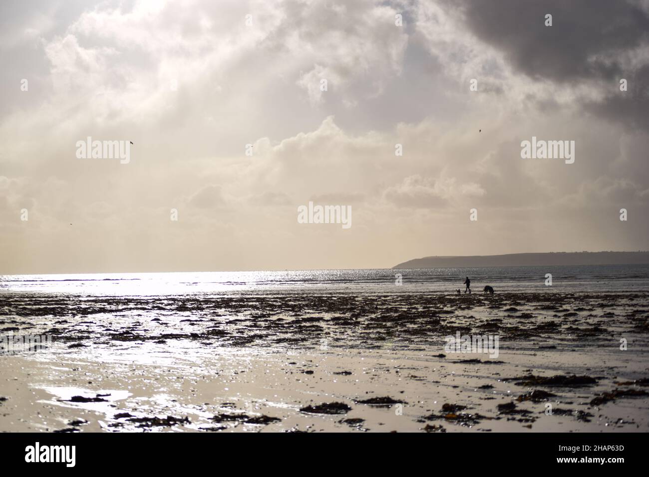Dark sands beach hi-res stock photography and images - Alamy