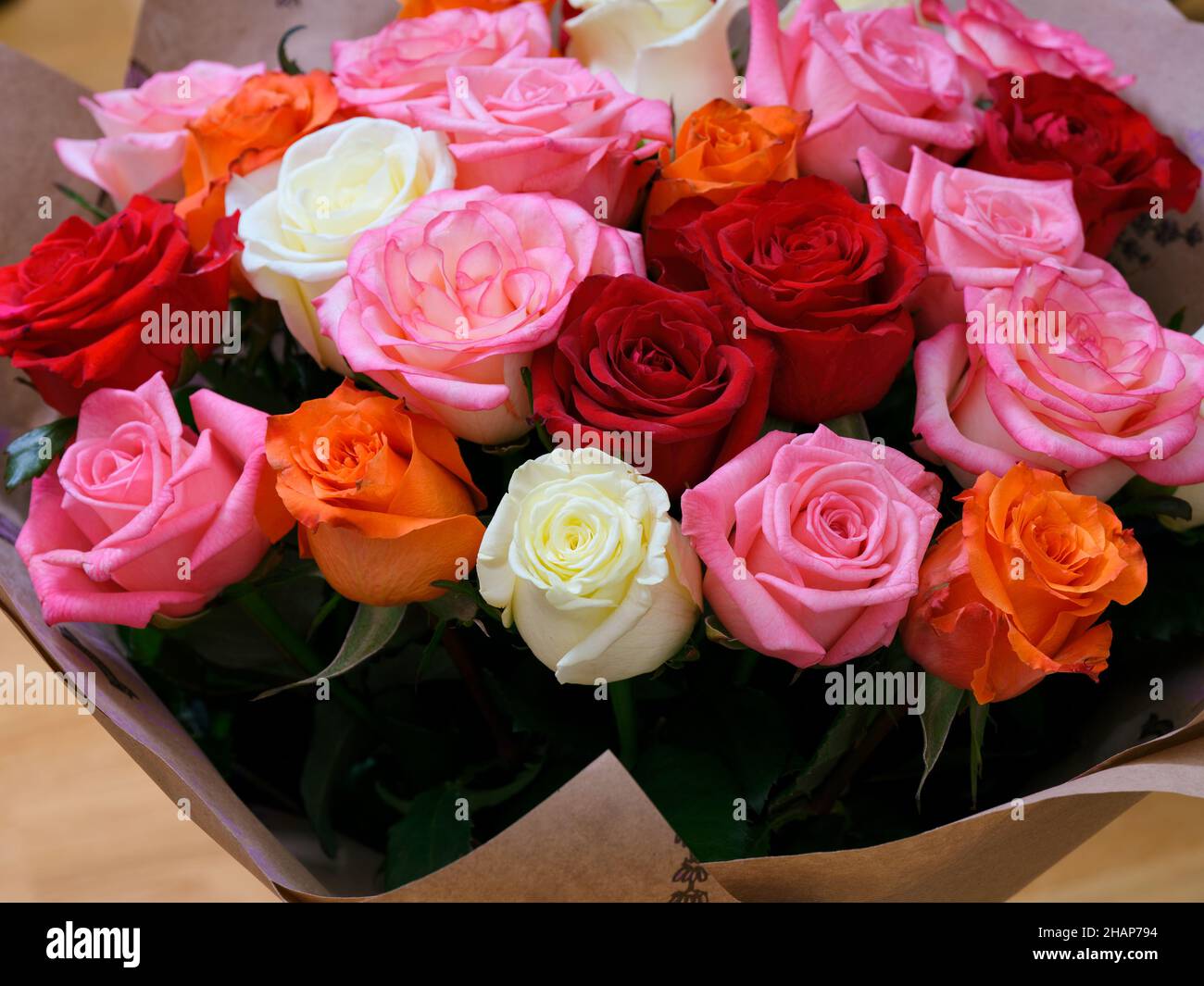 Multicolour rose hi-res stock photography and images - Alamy